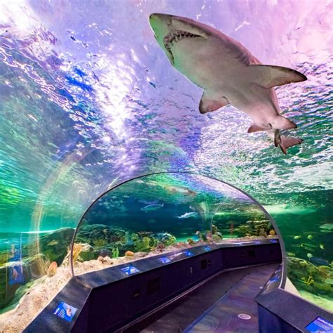 Stationnement Pour Le Ripleys Aquarium De Toronto