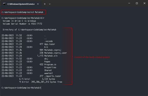 Create Your First Blazor WASM App Using VsCode And The CLI Samuel Nettey