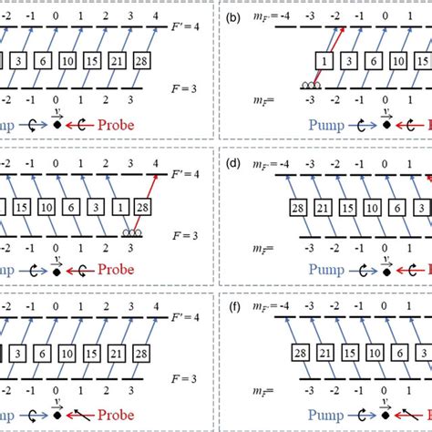 The Atomic Transition Schematic Diagram In Different Polarization