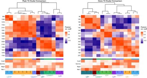 Figures And Data In Layer Specific Chromatin Accessibility Landscapes
