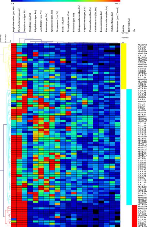 hierarchical clustering heat map of the relative abundance of the 20