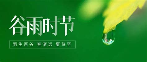 谷雨沐一场人间春色，听一曲雨落情长牡丹花枝管画成