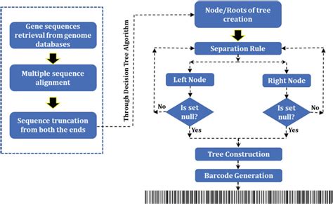 2 An Illustration Of Snp Barcode Generation Through The Decision Tree