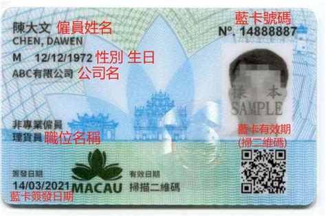 劳工各种证件样式