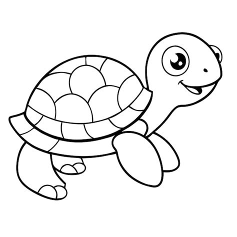 Turtle Shell Drawing