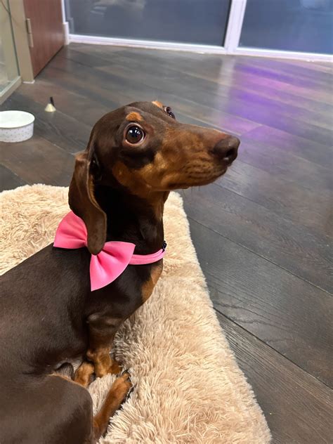 Emily Hamblyn On Linkedin Team