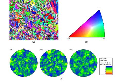 A EBSD Orientation Map Obtained On The Head Of A Specimen Tested In PF Download Scientific