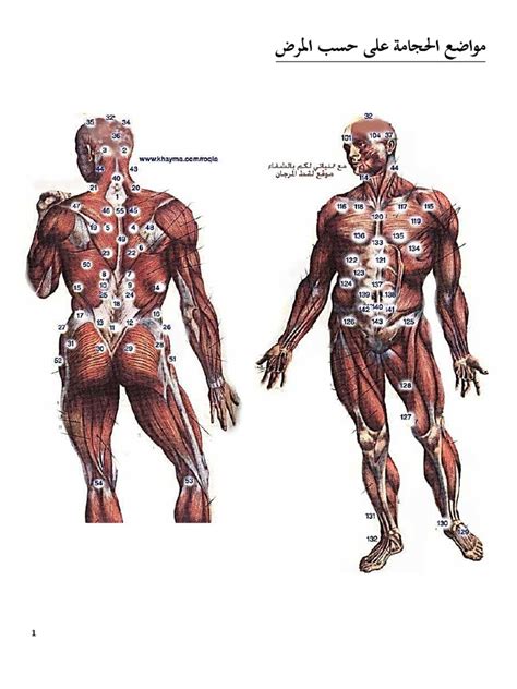 مواضع الحجامة على حسب المرض Pdf