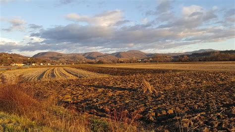 Pribić Žumberačka Gora Album On Imgur