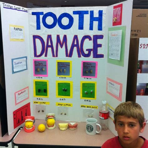 Science Fair Projects For 3rd Grade At Hannah Rowlandson Blog