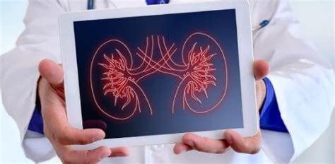 A Trivia Quiz On Urology Test Your Knowledge Quiz And Trivia