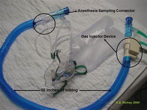 Fremitus Inhaled Nitric Oxide Set Up For Nitric Oxide Challenge