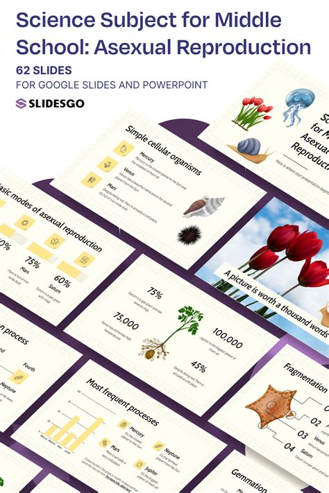 Science Subject For Middle Babe Asexual Reproduction