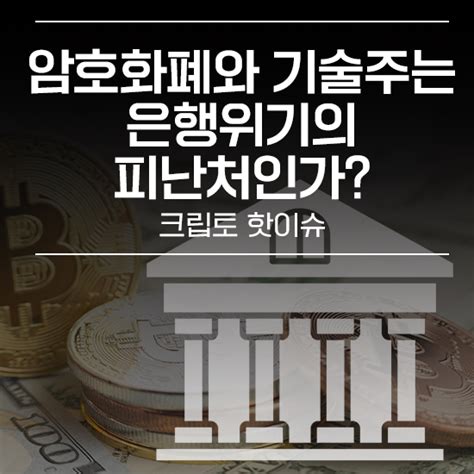 암호화폐와 기술주는 은행위기의 피난처인가 에임리치