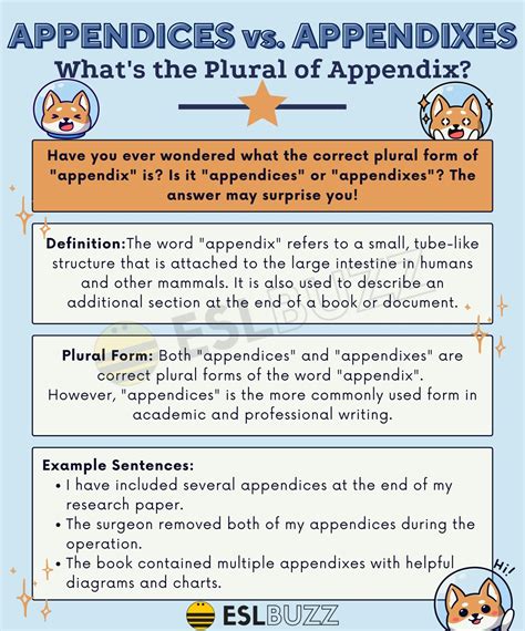 Plural Of Appendix Unraveling The Mystery Eslbuzz