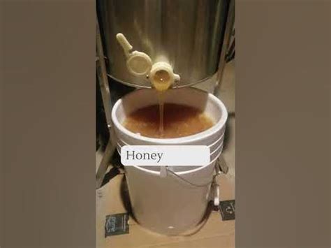 Honey Extraction Process Quick View Youtube
