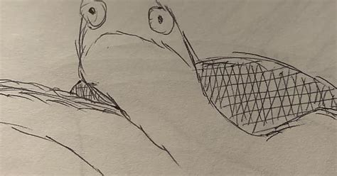 Turtle Doing The Turtle Things Album On Imgur