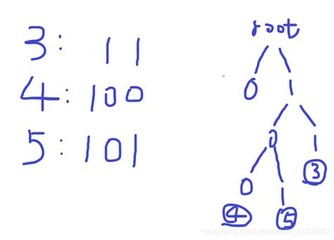 Xor Sum讲解异或【字典树】 Csdn博客