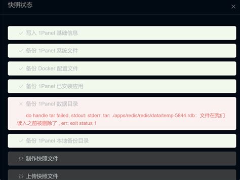 快照一直备份失败咋搞 Panel 社区论坛 FIT CLOUD 飞致云