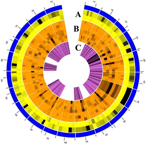 Circular Diagram Depicting The Salient Characteristics Of Qtls And Download Scientific Diagram