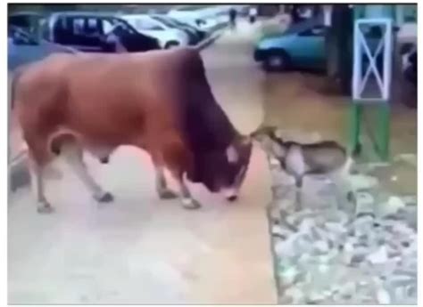 Samyukta Mishra On Linkedin Itstaffing Contracthiring Techstack