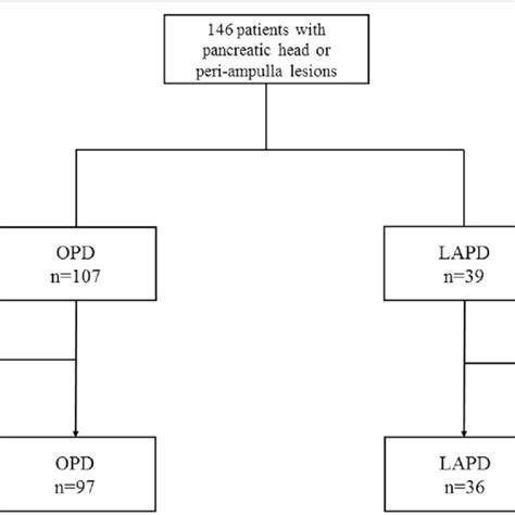 Schematic Diagrams A The Mesenteric Defect Left In First Operation