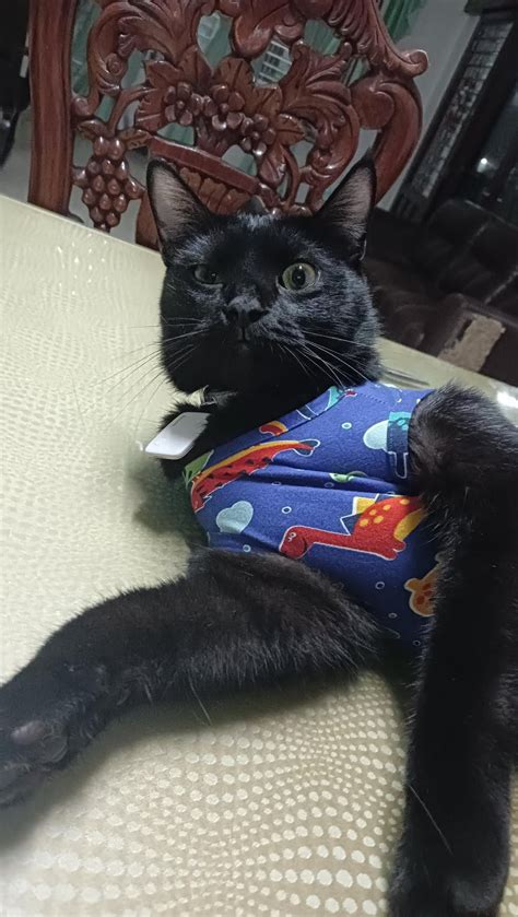 My Goofy Ass Black Panther Rcatsofrph