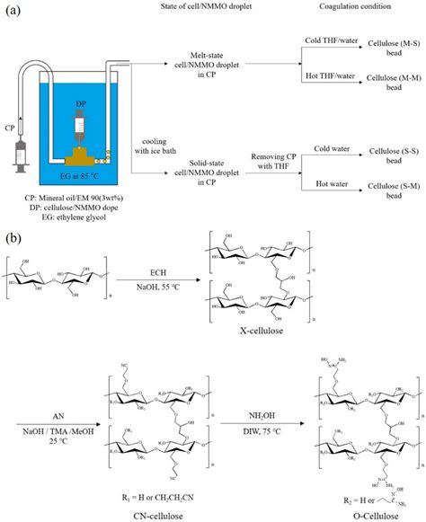 A The Overall Schematics Of Producing Cellulose Ss Cellulose Sm Download Scientific