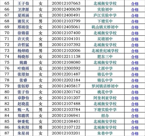 合肥二中 崇德尚美 自主力行