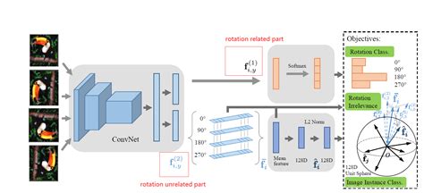 自监督学习——旋转篇unsupervised Representation Learning By Predicting Csdn博客