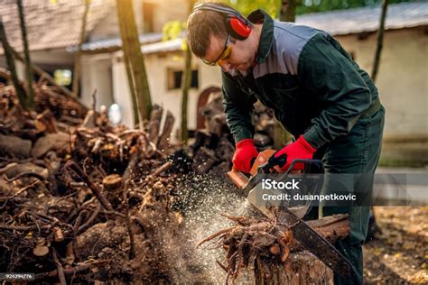 유니폼 및 보호 화창한 날에는 집의 뒤뜰에서 전기 톱으로 나무의 무리에 작업 럼 버 재킷 남자의 사진을 닫습니다 사슬톱에 대한 스톡 사진 및 기타 이미지 Istock