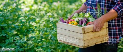 신선한 채소로 가득 한 나무 상자를 들고 농부 배너 템플릿입니다 바구니에 대한 스톡 사진 및 기타 이미지 바구니 채소 가을 Istock