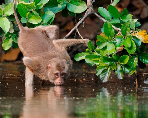 Bangladeshnicegirl Photos Download The Best Free Bangladeshnice