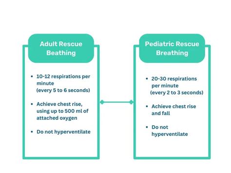 ¿cuál Es La Tasa De Flujo Recomendada Para La Ventilación Con Bolsa Válvula Máscara Bvm La