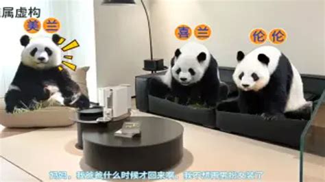 重生之我的哥哥爱上我老公 第45集美兰不想再男扮女装 YouTube