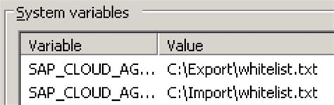 how to configure file server for importing data an sap community