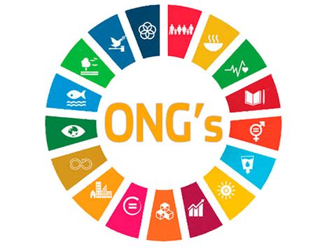 La Cooperación Internacional Y Las Ongs Poderobrero