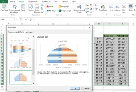 Cara Membuat Piramida Penduduk Secara Digital