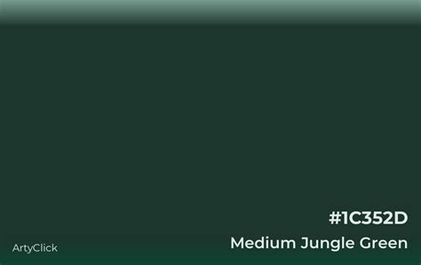 Medium Jungle Green Color Artyclick