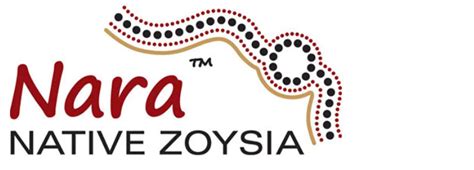 Nara™ Native Zoysia Grass Supplier Great Northern Turf