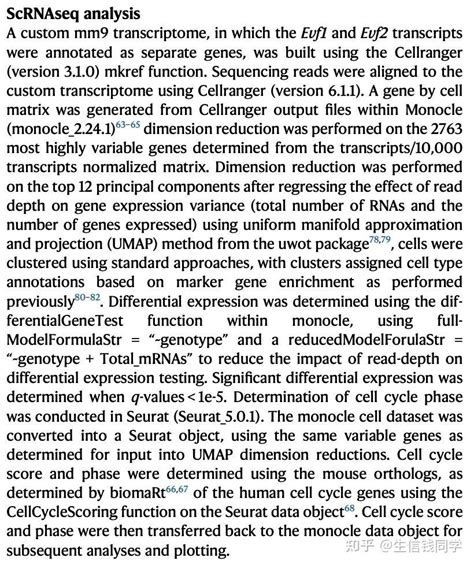 这篇单细胞转录组分析与机制研究衔接得出奇丝滑：怎么在上游分析中自定义参考基因组，看看这篇 Nc的操作 知乎