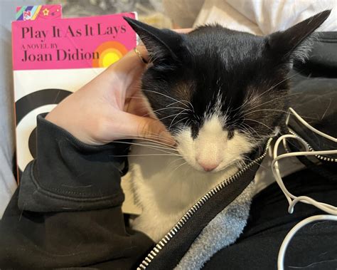 Reading While Listening To Elliott Smith With My Cuddle Bug R