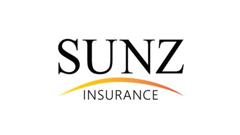 Sunz Insurance Hcp Associates Tampa Research Strategy And Marketing Firm