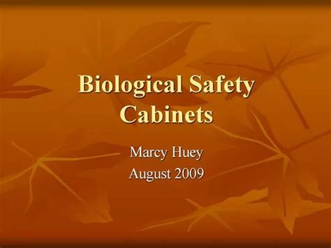 Biosafety Cabinet Levels Ppt Cabinets Matttroy