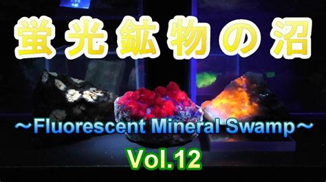 蛍光鉱物の沼 Fluorescent Minerals Vol 12ライブ配信編 YouTube