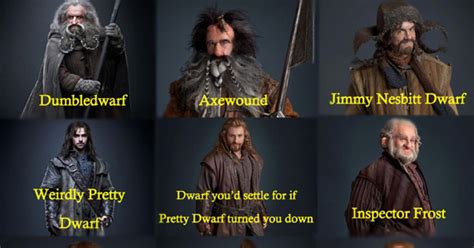 Look A Guide To The Dwarves In The Hobbit The Hobbit Dwarf