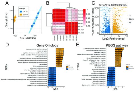 Expression Profiles Revealed By Whole Transcriptome Rna Sequencing