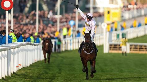 Lorcan Williams From Teenage Try Scoring Sensation To Champion Hurdle Winning Jockey Racing Post