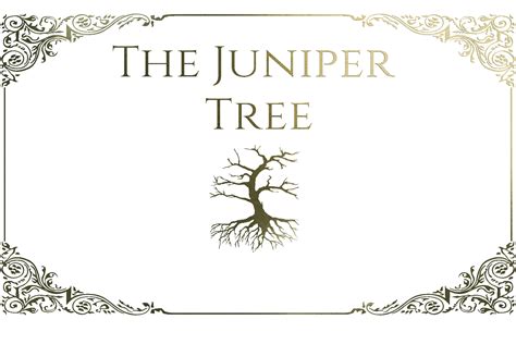 Juniper Tree Facts Definition Types Identification