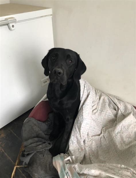 Spud Being A Stinky Boy Scrolller